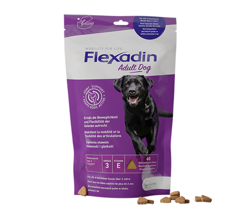 Flexadin Adult Dog mit immunaktivem Kollagen | Flexadin